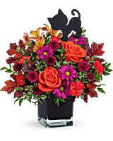 Teleflora's Midnight Magic Bouquet in Utica MI - Utica Florist, Inc.