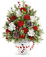 Teleflora's Send A Hug® Snowy Lane Tree in Moline IL - K'nees Florists