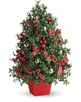 Christmas Flowers Delivery Fallbrook CA - Fallbrook Florist