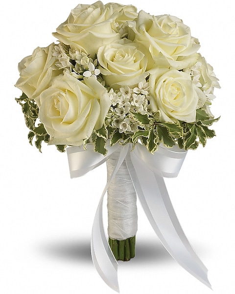 Syracuse Rose