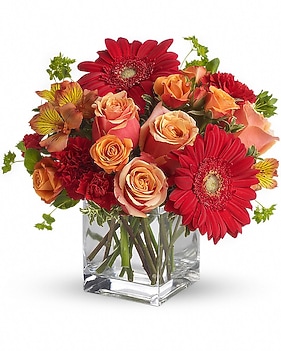 Birthday Flowers Delivery Tuscaloosa AL - Stephanie's Flowers, Inc.