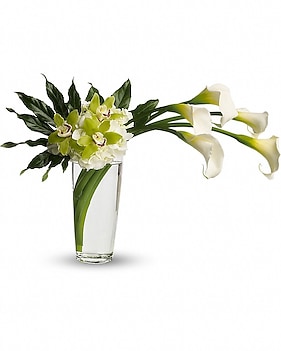 Shop by Flowers Delivery Warren RI - Victoria's Flowers