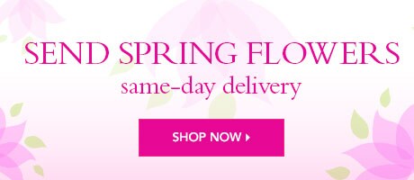 Gahanna Florist - Flower Delivery by Rees Flowers & Gifts, Inc.