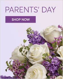 Shop by Flowers Delivery Manassas VA - Flower Gallery Of Virginia