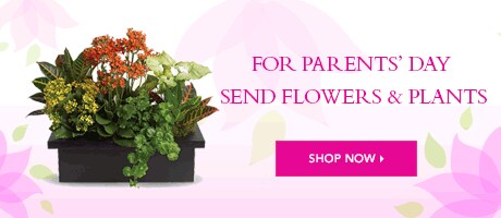 Sacramento Florist - Flower Delivery by Arden Park Florist & Gift Gallery