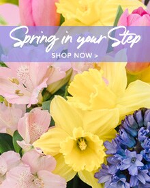 Shop by Flowers Delivery Manassas VA - Flower Gallery Of Virginia