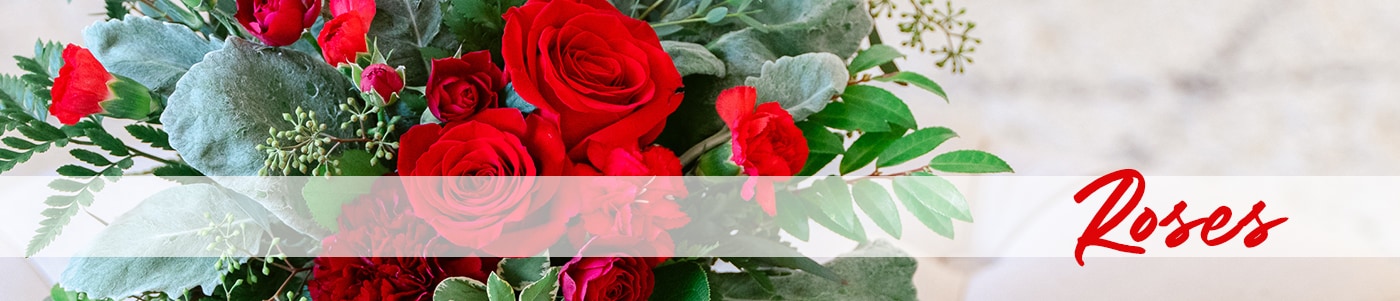 Roses Delivery in Dallas, TX | McShan Florist