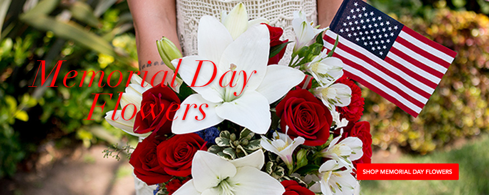 Manassas Florist - Flower Delivery by Flower Gallery Of Virginia