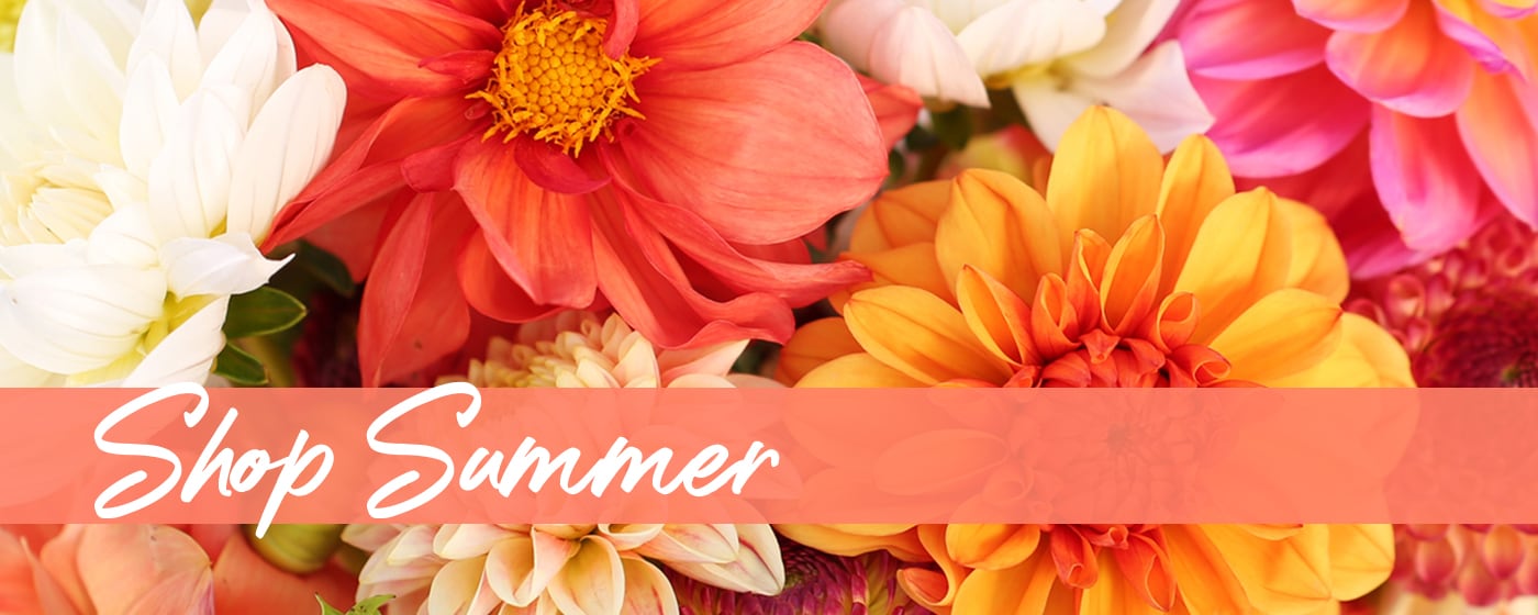 Anchorage Florist - Flower Delivery by Alaska Flower Shop