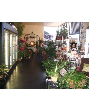 Take a Look Inside our Shop Delivery Bakersfield CA All Seasons Florist