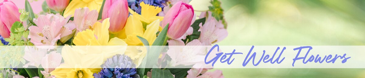 Get Well Flowers [Free Delivery Available] in Wilmington