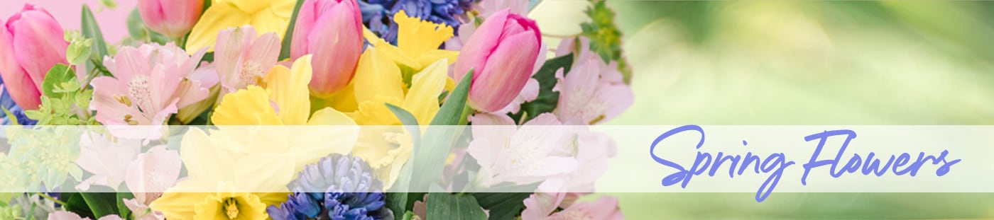 Fresh Spring Flowers In Silver Spring | Bell Flowers