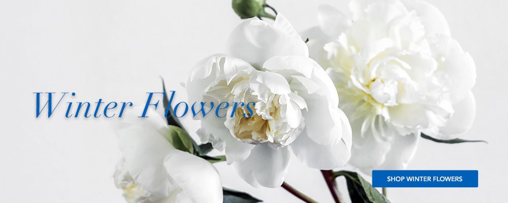 Vienna Florist - Flower Delivery by Tysons Florist & Gifts LLC