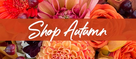 Auburn Florist - Flower Delivery by Buds & Blooms