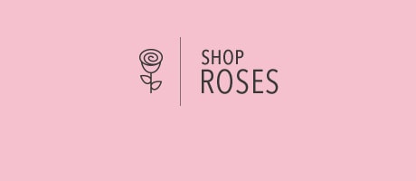 Bronx Florist - Flower Delivery by Rainbow Florist