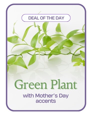 Chatham Florist - Flower Delivery by Chatham Flowers and Gifts