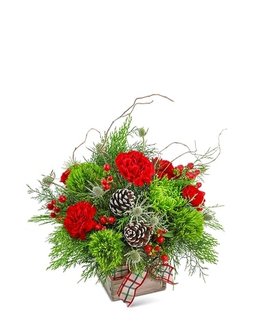 Christmas Delivery - Waukesha, Brookfield, Pewaukee,WI Florist Flowers ...