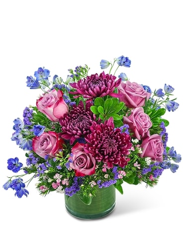 Ultraviolet Dream in Tacoma WA - Tacoma Buds and Blooms formerly Lund ...