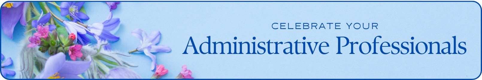 Administrative Professionals Week Delivery St. Petersburg FL - Delma's ...