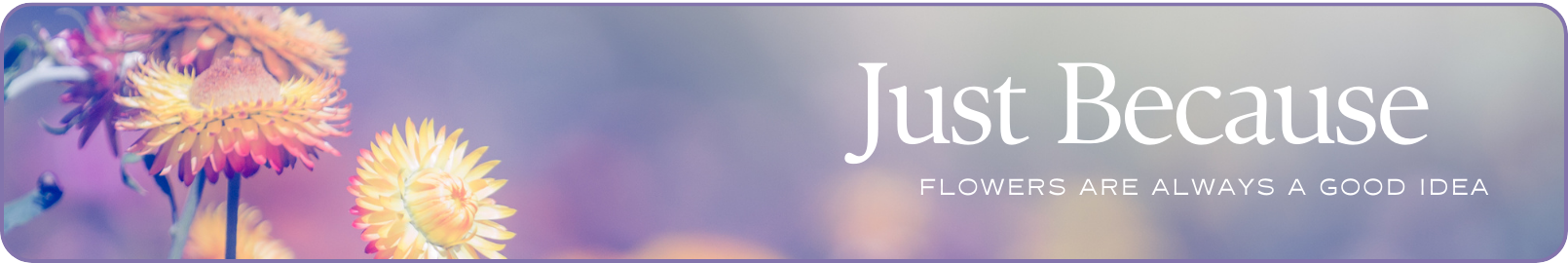 Just Because Delivery Springfield MO - House of Flowers Inc.