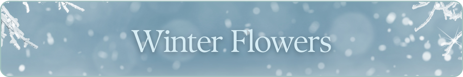 Winter Flowers Delivery Louisville KY - Country Squire Florist, Inc.