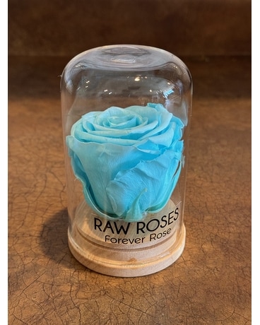 Baby Blue Eternal Rose in Kamloops BC - Rose & Wild