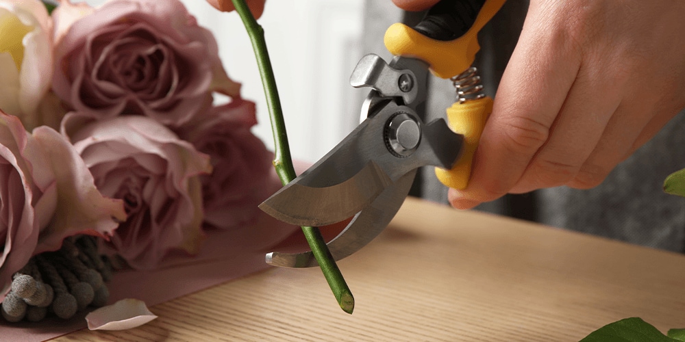 How to Cut and Arrange a Dozen Fresh Roses in a Vase: A Step-by-Step Guide