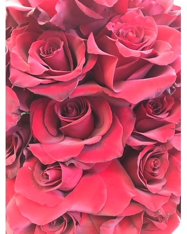 Best Sellers Flowers Delivery Winnipeg MB - Broadway Florists