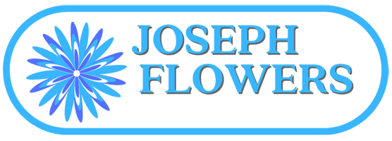 North York Florist - Flower Delivery by Joseph Flowers