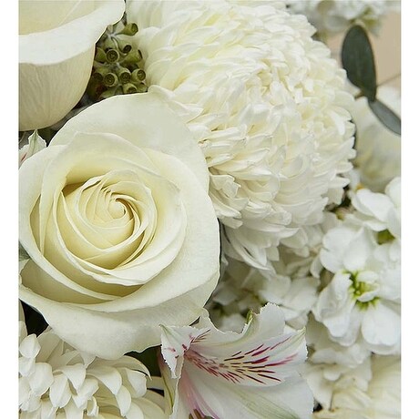 Angel Wings Flower Arrangement | Best Flower Site