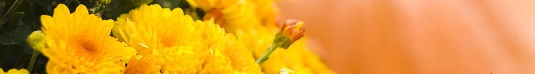 Tucson Florist - Flower Delivery by Inglis Broadway Florist