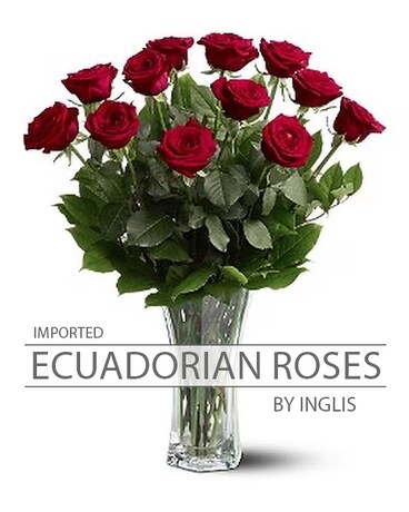 Imported Ecuadorian Roses by Inglis in Tucson AZ - Inglis Broadway Florist