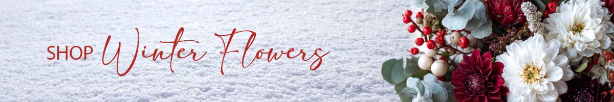 Winter Bouquets Delivery Tucson AZ - Inglis Broadway Florist
