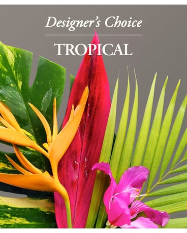 Tropical Designers Choice in San Diego CA - Flowers by Coley