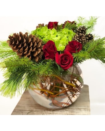 Holiday Cheer in La Jolla CA - Adelaide's