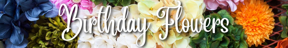 Denver, CO Birthday Flowers Ed Moore Florist