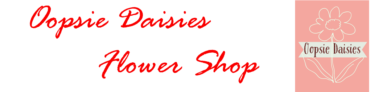 Just Because Flowers Delivery Castle Rock CO - Oopsie Daisies Flower Shop