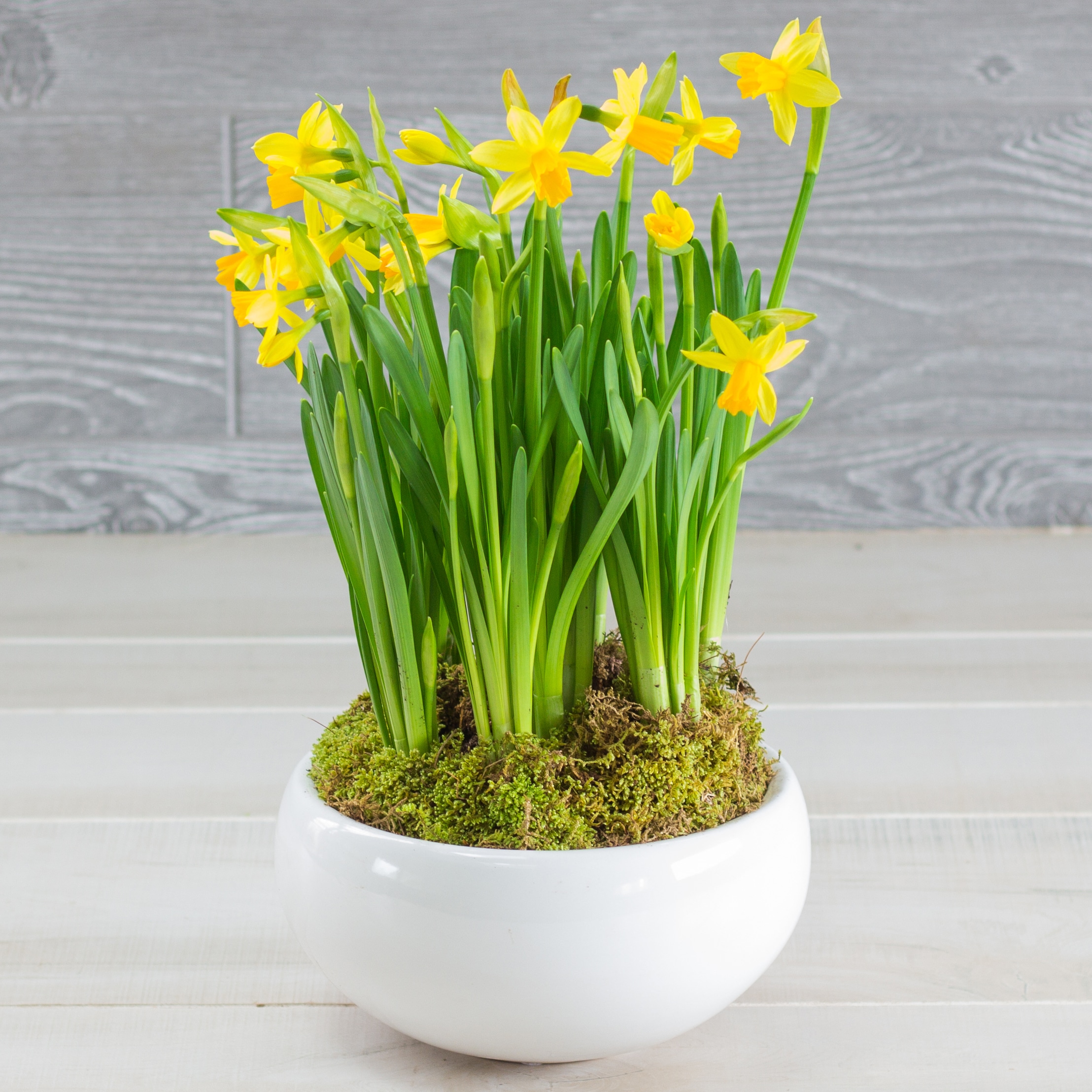 Greenwich Florist - Flower Delivery by McArdle's Floral & Garden Design