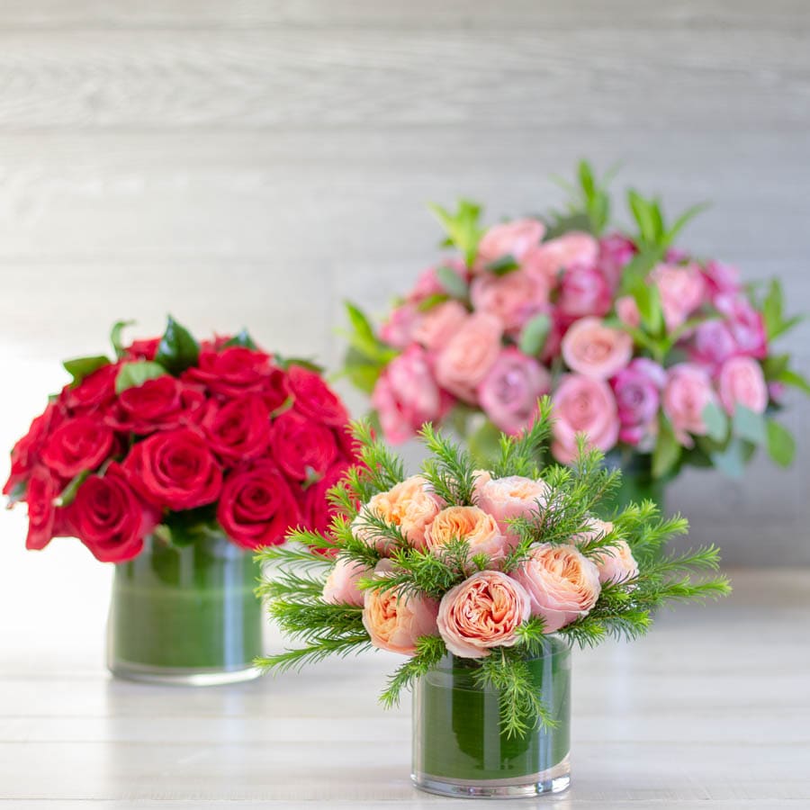 Roses Low & Lush - Dozen in Greenwich CT - McArdle's Floral & Garden Design