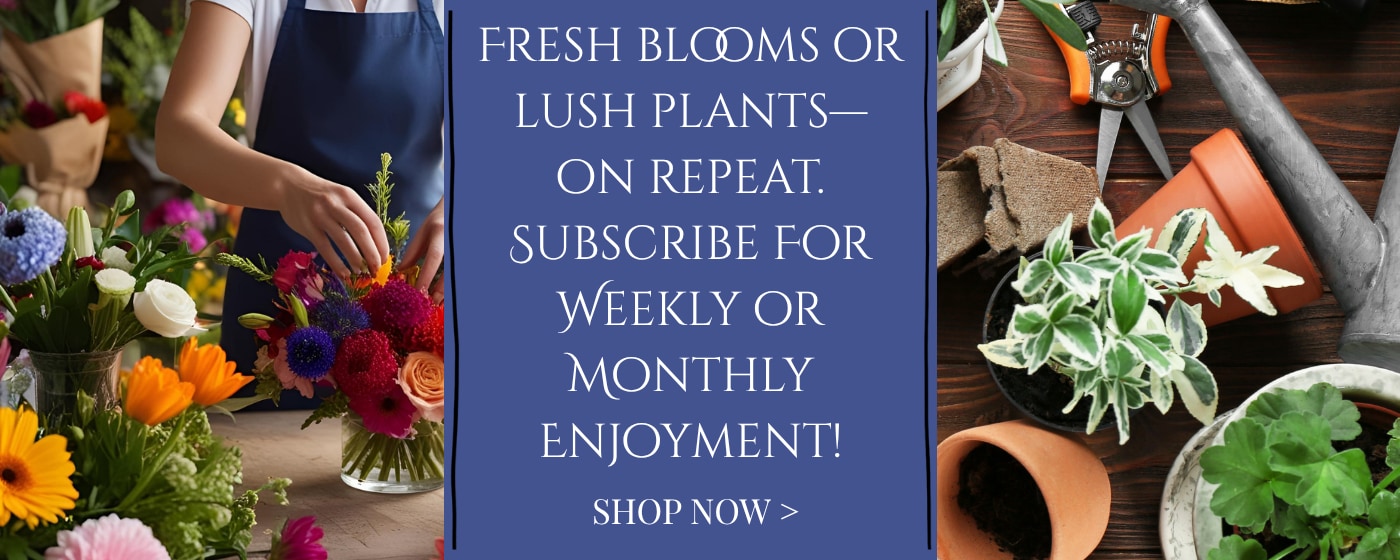 Spring Hill Florist - Flower Delivery by 352 Flowers