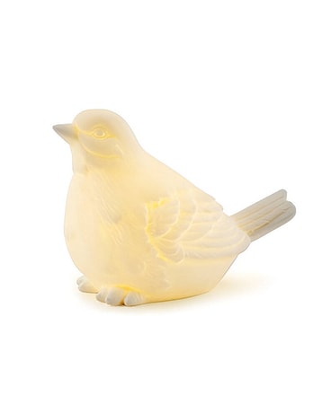 LED Light Up Bird in Leesburg FL - Miss Daisy's Flower & Gifts