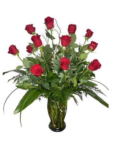 The Ultimate Dozen Rose in Leesburg FL - Miss Daisy's Flower & Gifts