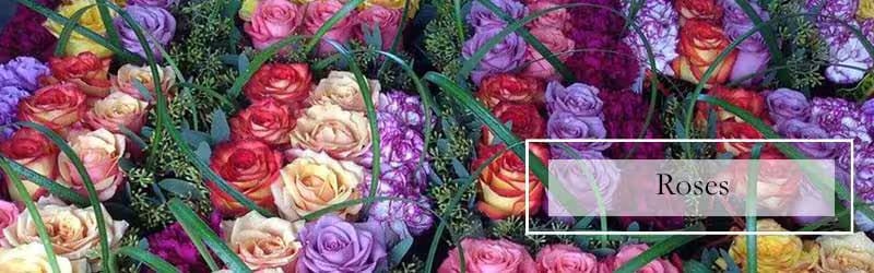 Woodstock Florist - Flower Delivery by Brenda's House of Flowers