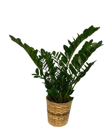 Springfield Florist - Flower Delivery by Flowers By Mary Lou, Inc.