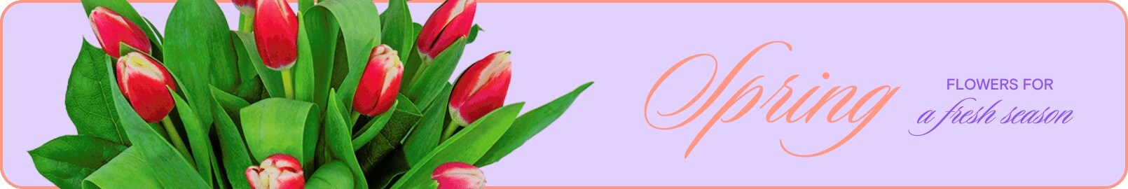 Spring Flowers Delivery Ft. Myers FL - A.J.'s Florist