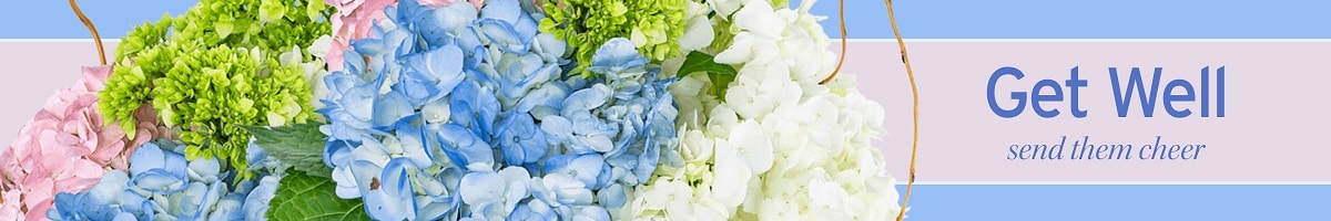 Get Well Delivery Hartford CT - House of Flora Flower Market, LLC