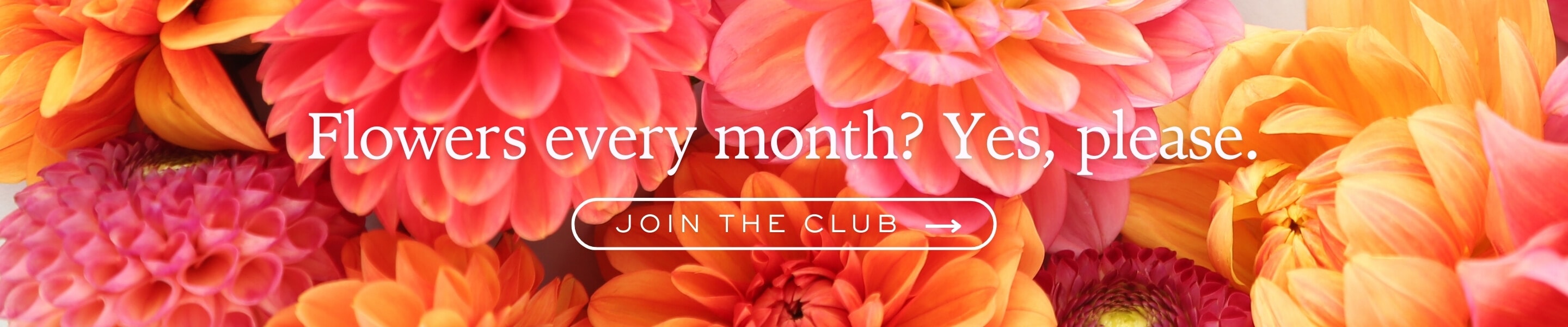 Washington Florist - Flower Delivery by Lee's Flower Shop