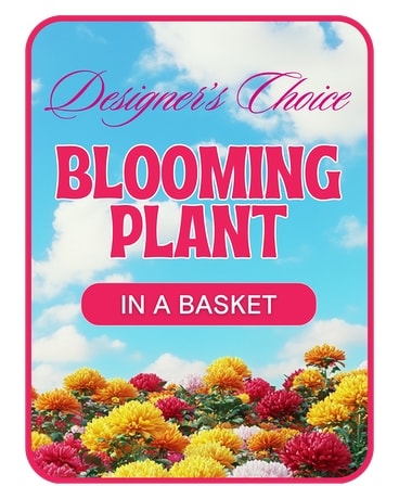 Frederick Florist - Flower Delivery by Flower Fashions Inc