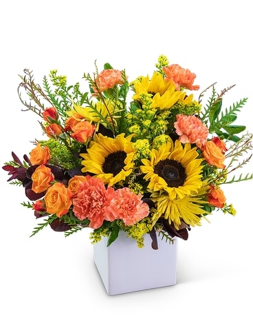 Knoxville Florist - Flower Delivery by Abloom Florist