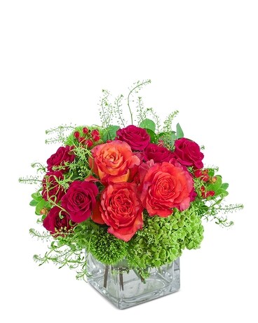 Best Sellers Delivery Solon OH - Duffy's Flowers & Plants